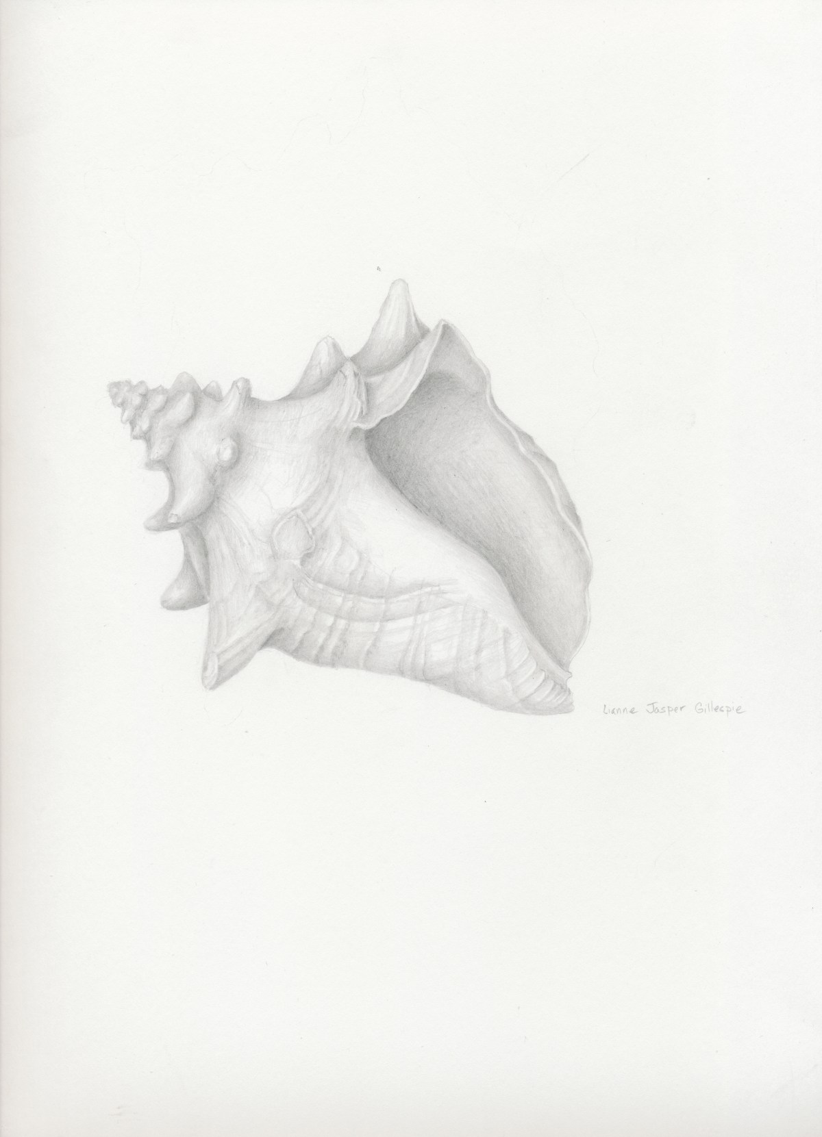 Graphite Gallery – Lianne Jasper Gillespie