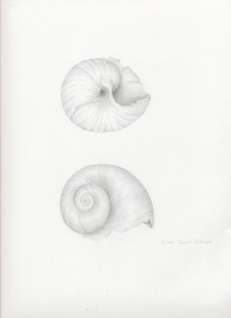 Graphite Gallery – Lianne Jasper Gillespie