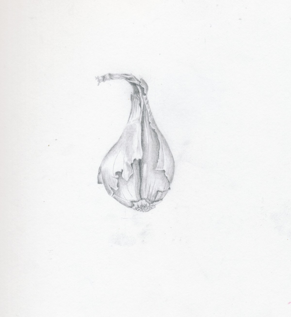 Graphite Gallery – Lianne Jasper Gillespie